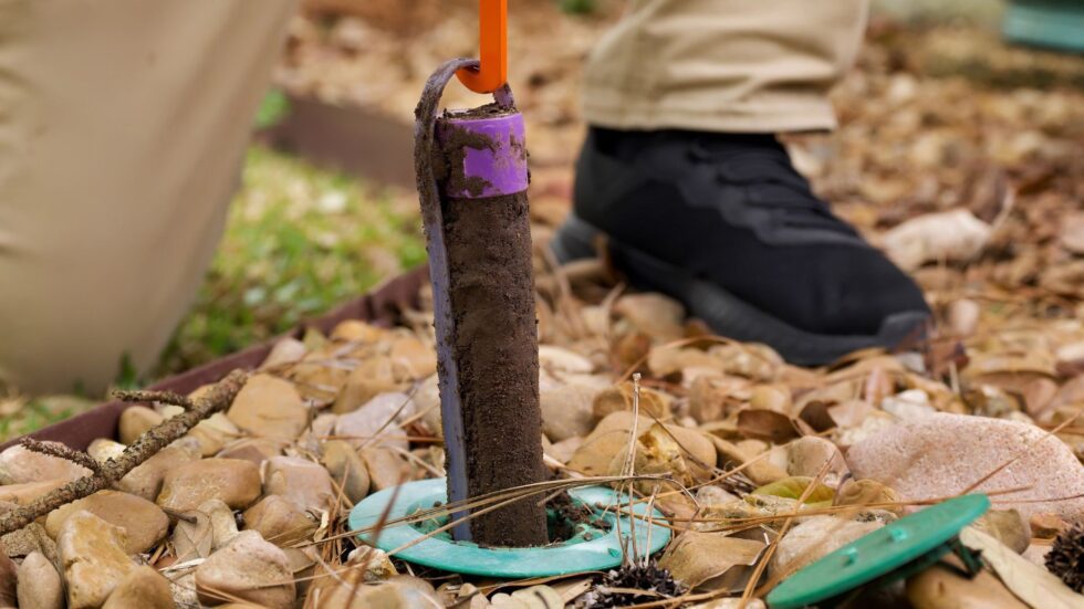 Termite Control | Dave's Termite and Pest Control | Serving Broussard ...