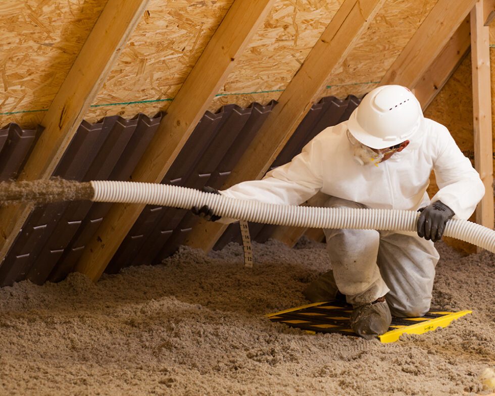 TAP Pest Control Attic Insulation | Dave's Termite and Pest Control ...