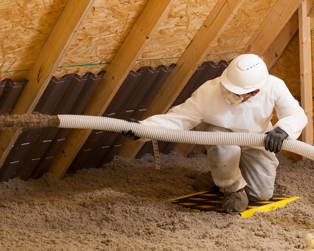 TAP Pest Control Attic Insulation | Dave's Termite and Pest Control ...